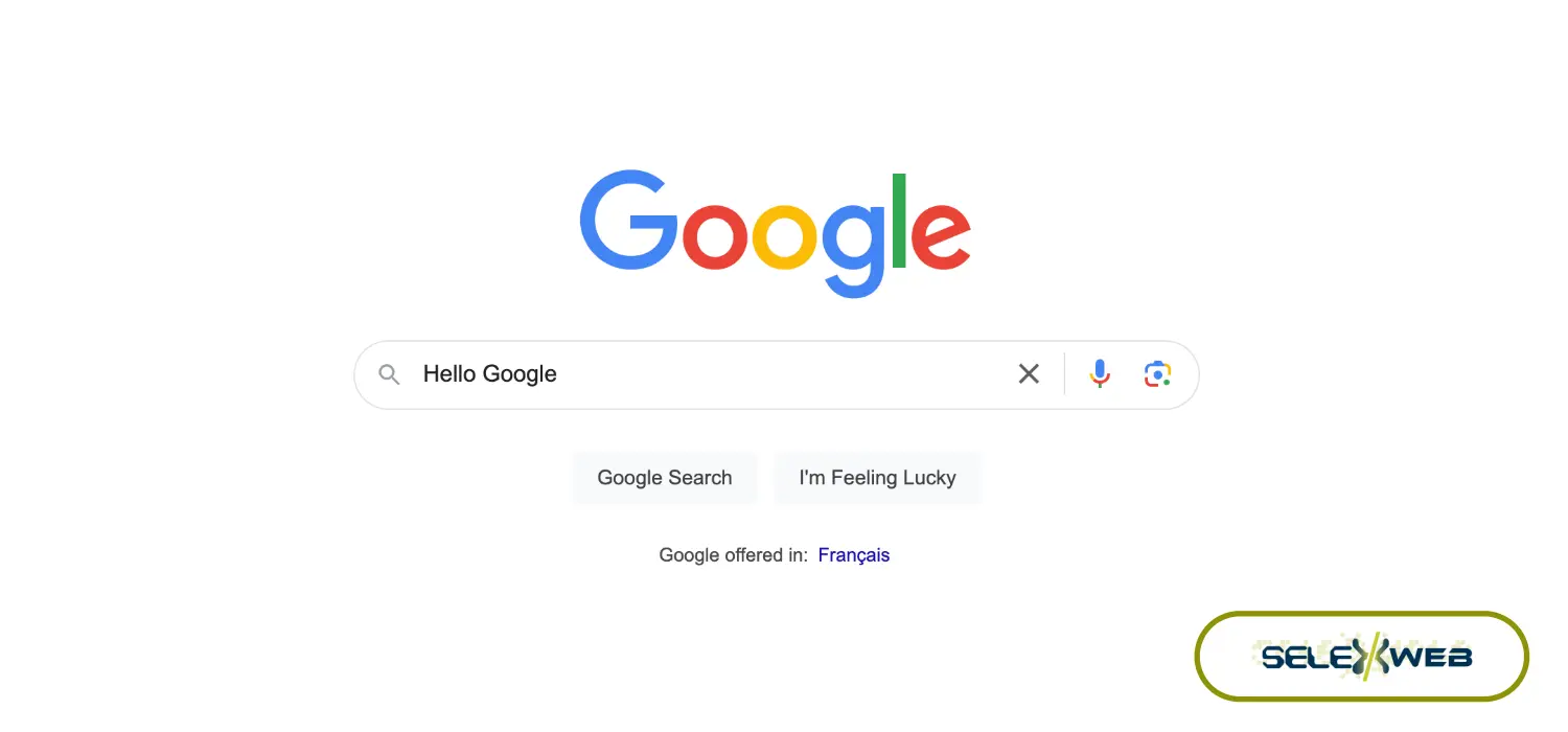 How to get indexed faster on Google with a new Business Website? - SelexWeb
